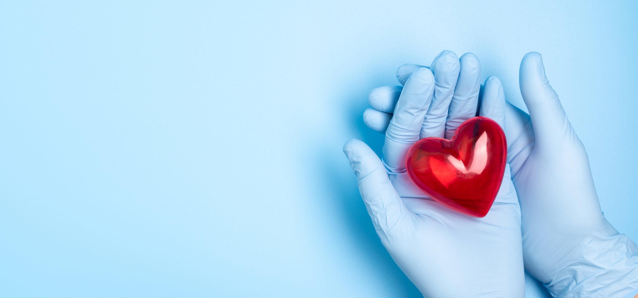 HDL, LDL and VLDL: Understanding Cholesterol Types | Lenmed